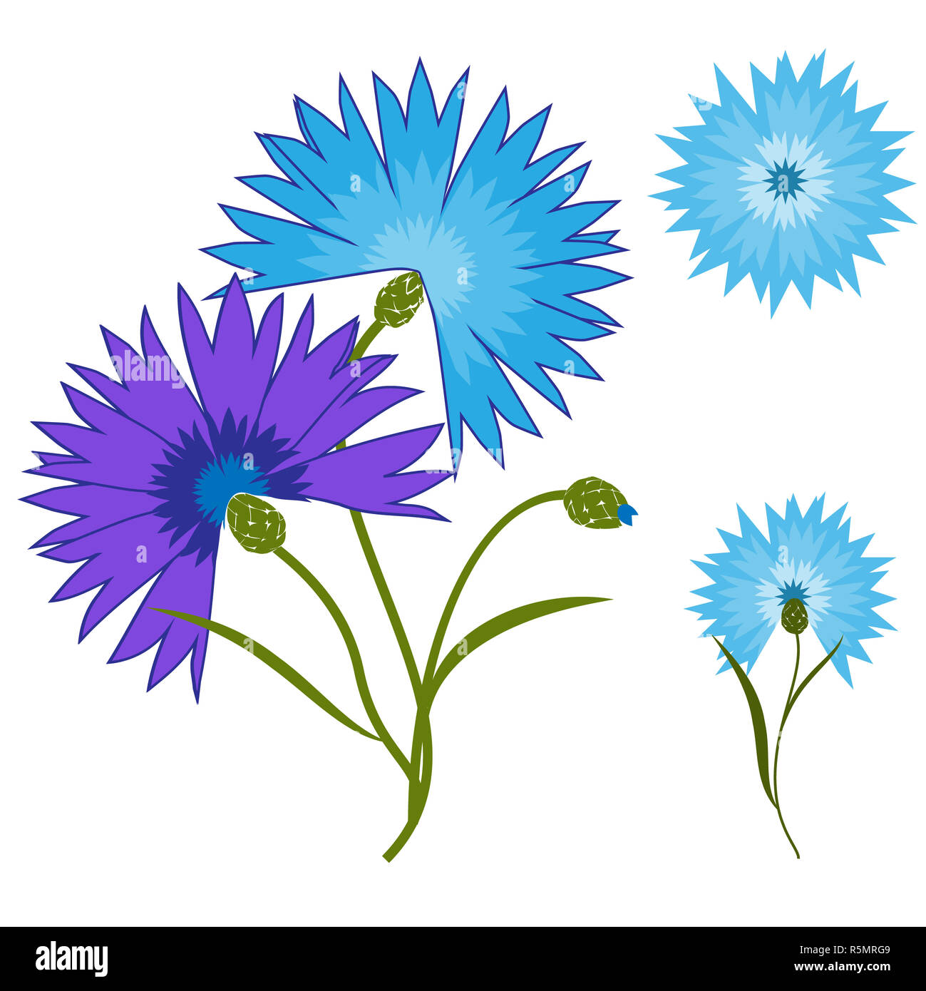 Blue flower cornflower isolated on white background. Cartoon vector ...