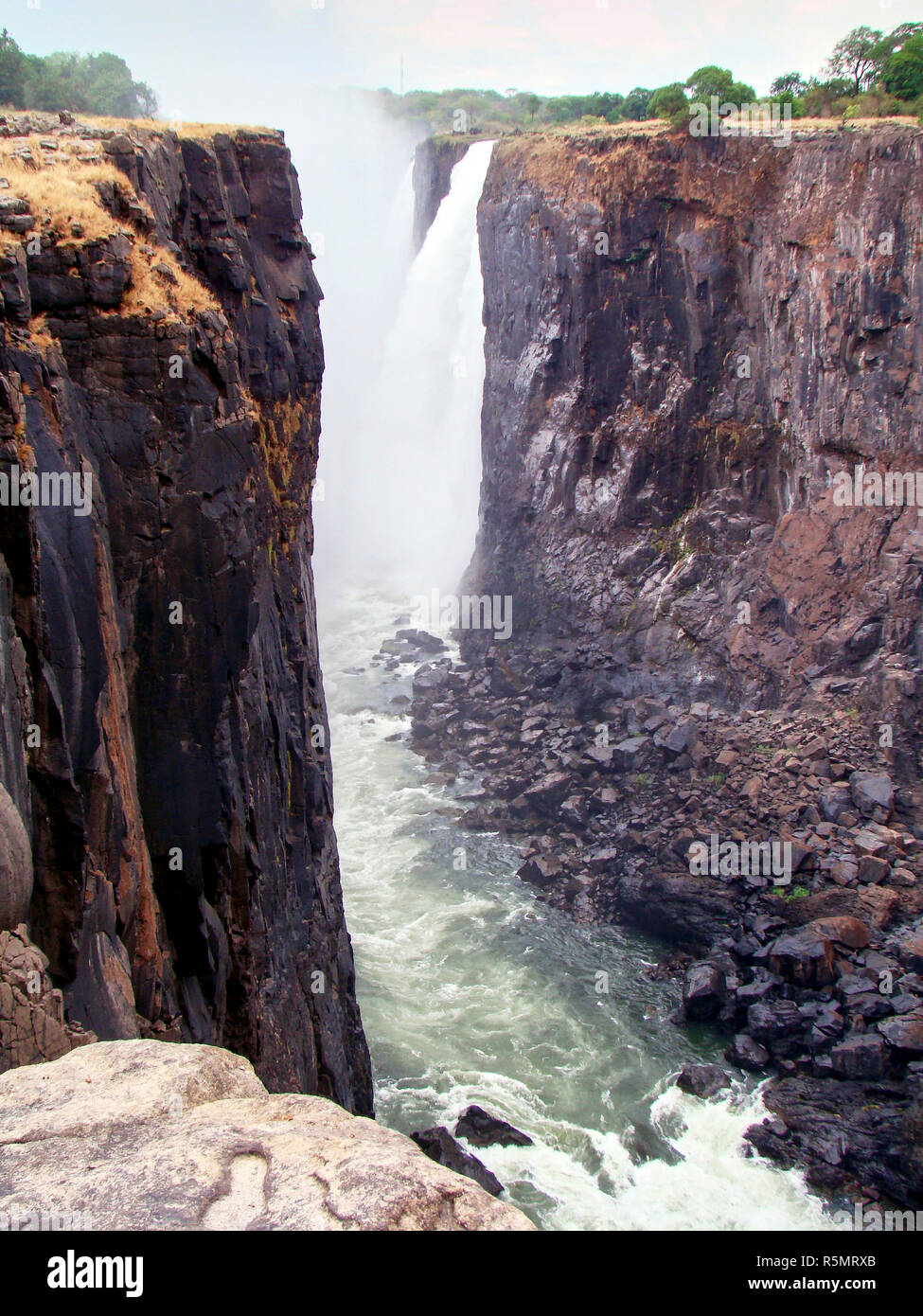 Big tree at victoria falls hi-res stock photography and images - Alamy