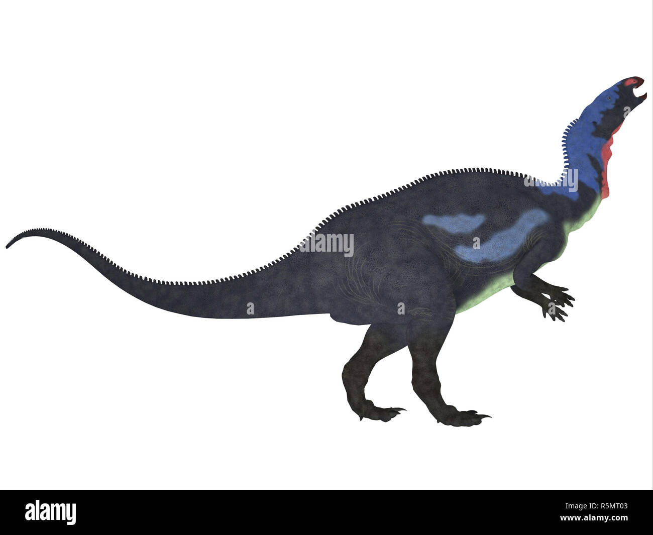 Camptosaurus hi-res stock photography and images - Alamy