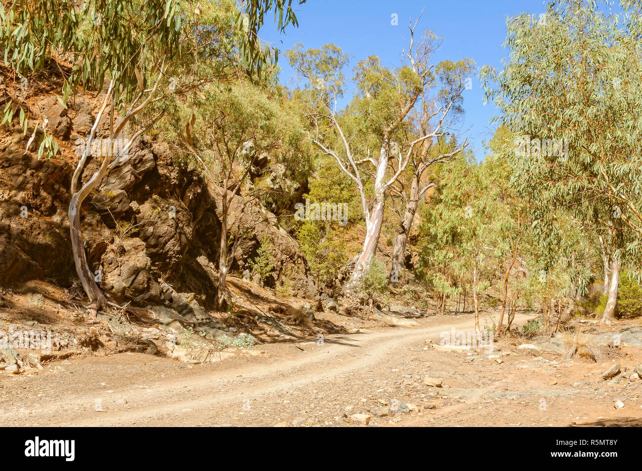 In the Bunyeroo Gorge - Wilpena Pound Stock Photo - Alamy