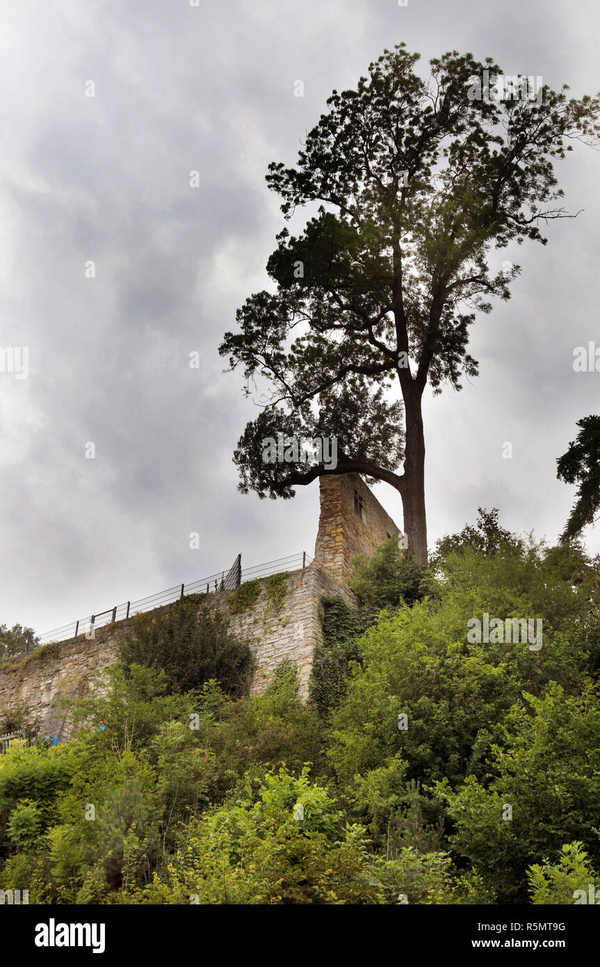 castle ruins heldenburg in salzderhelden Stock Photo - Alamy