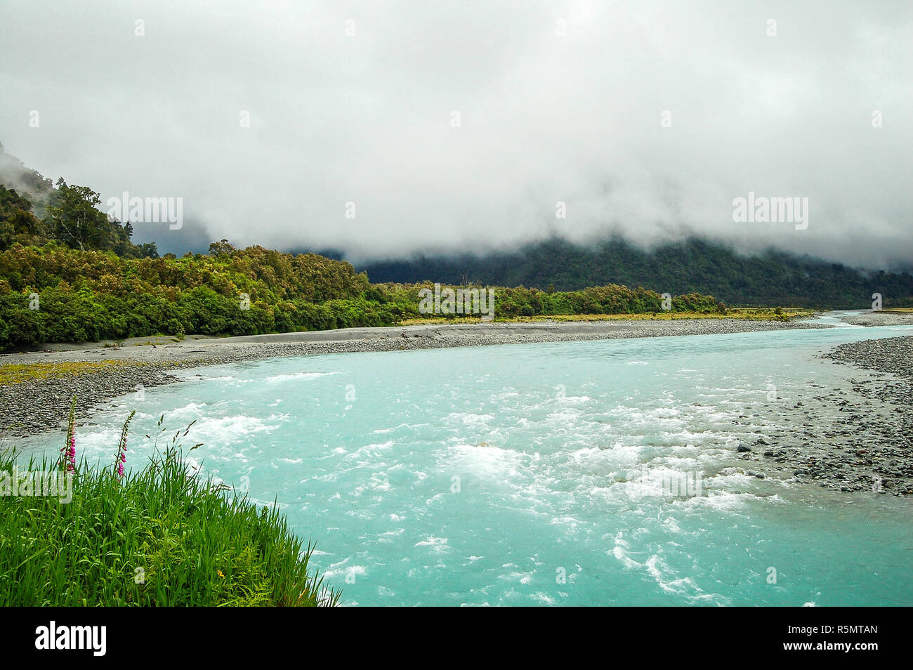 Whataroa River - West Coast Stock Photo - Alamy