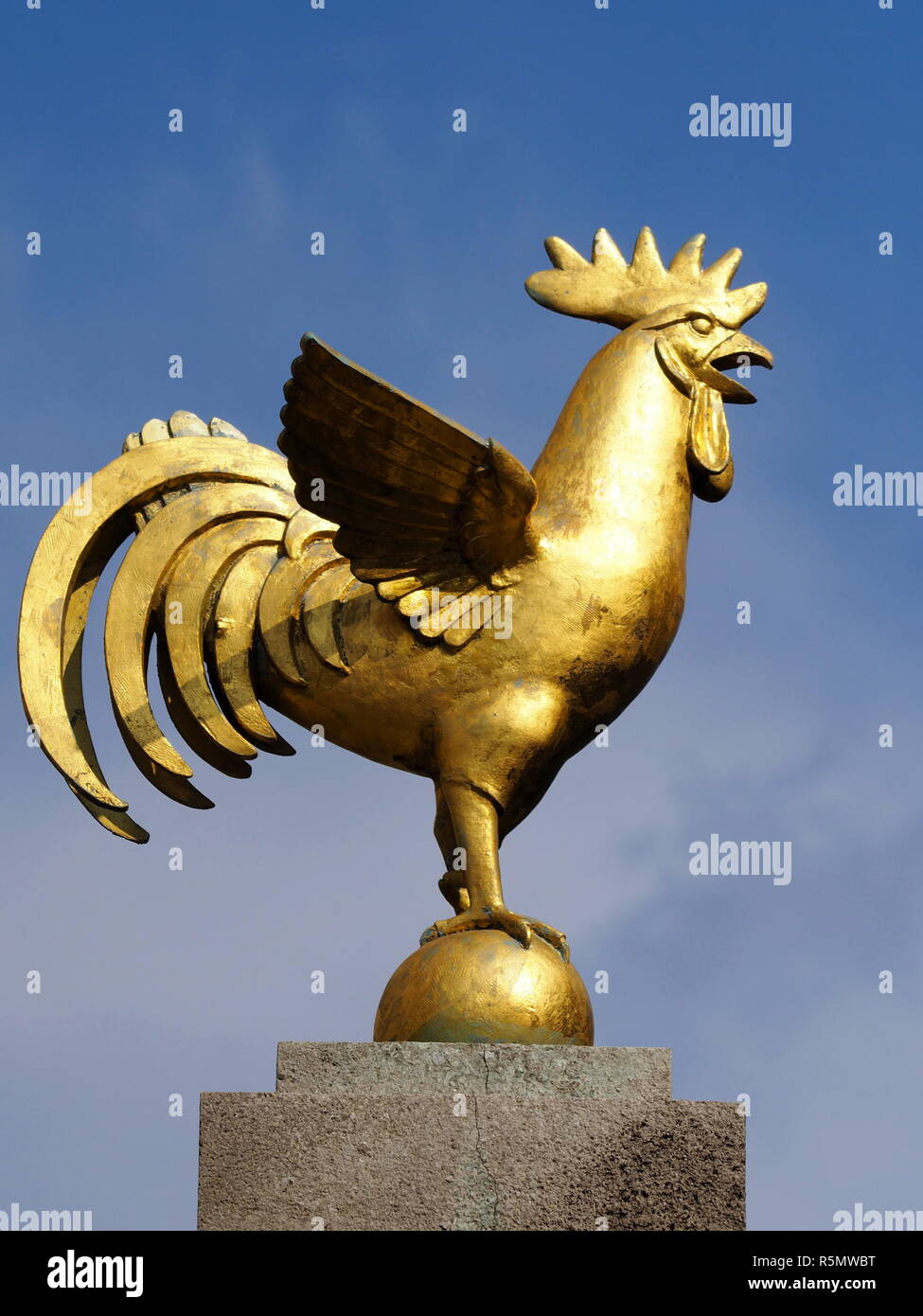 the watchful chicken Stock Photo - Alamy