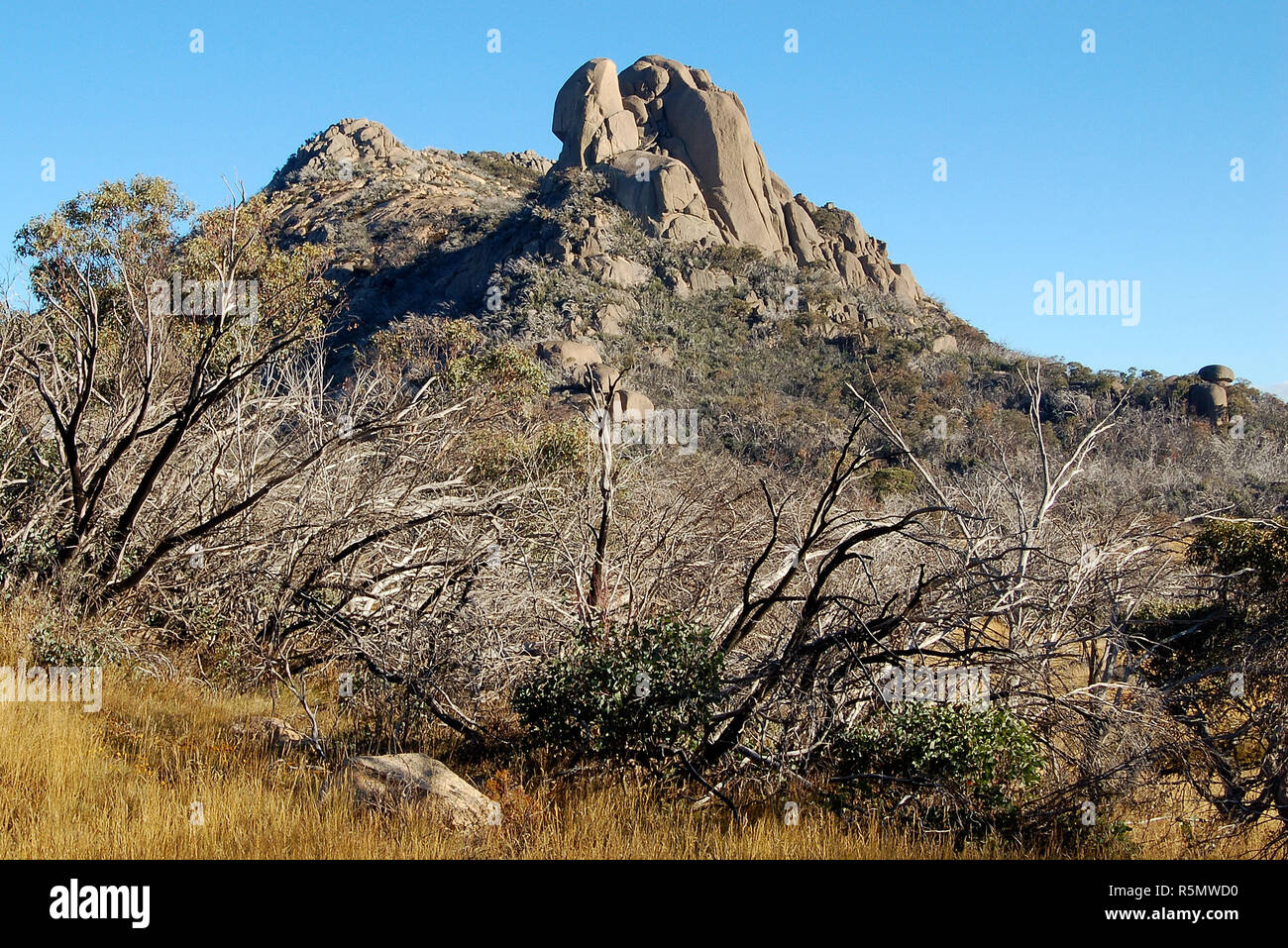Buffalo hump hi-res stock photography and images - Alamy