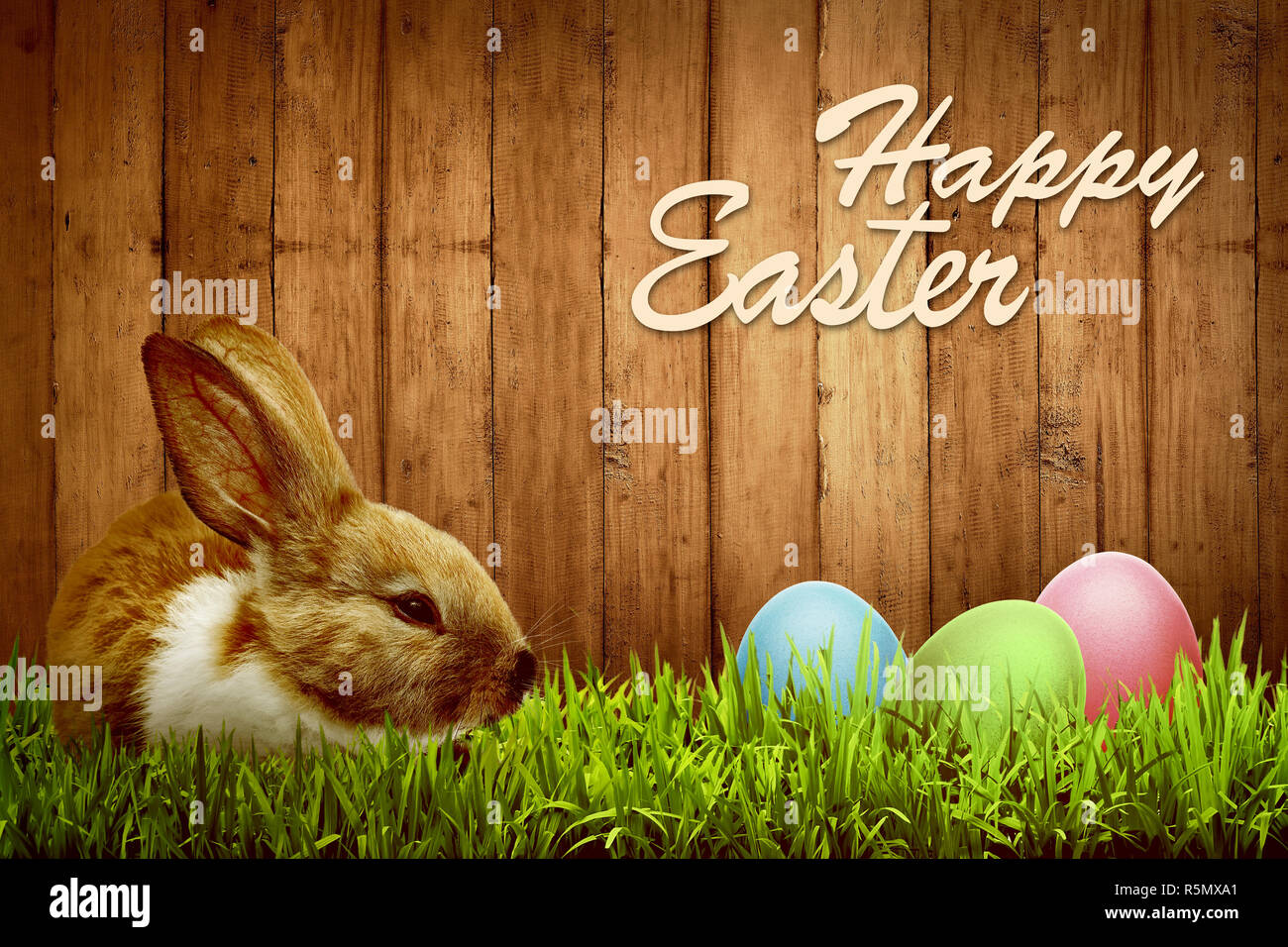 Easter eggs fence spring hi-res stock photography and images - Alamy