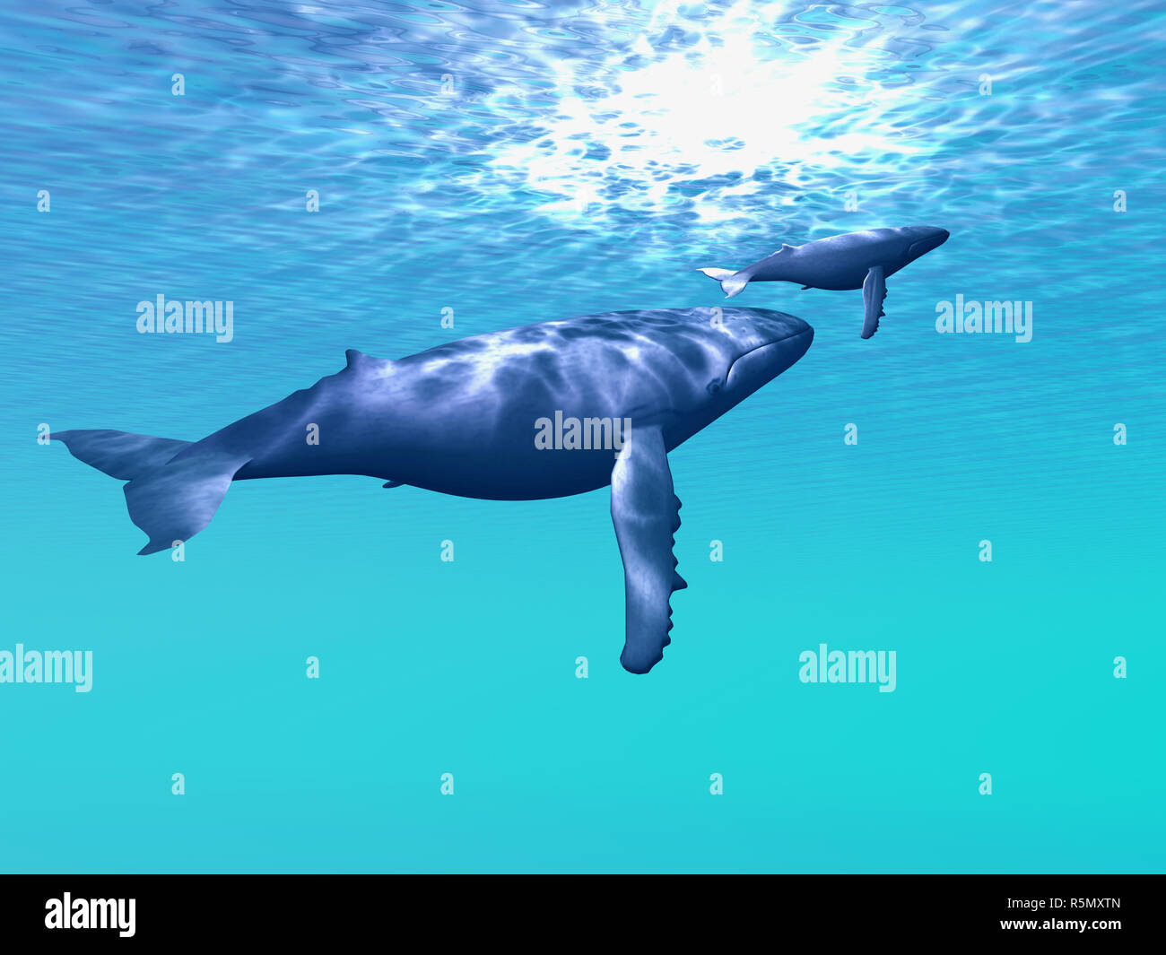 Whale pod illustration hi-res stock photography and images - Alamy