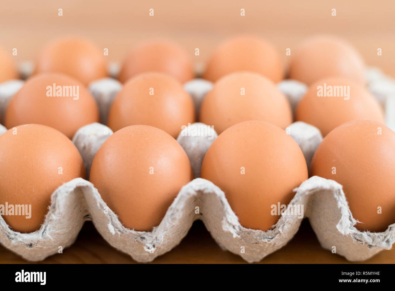 Egg from paper pack Stock Photo - Alamy