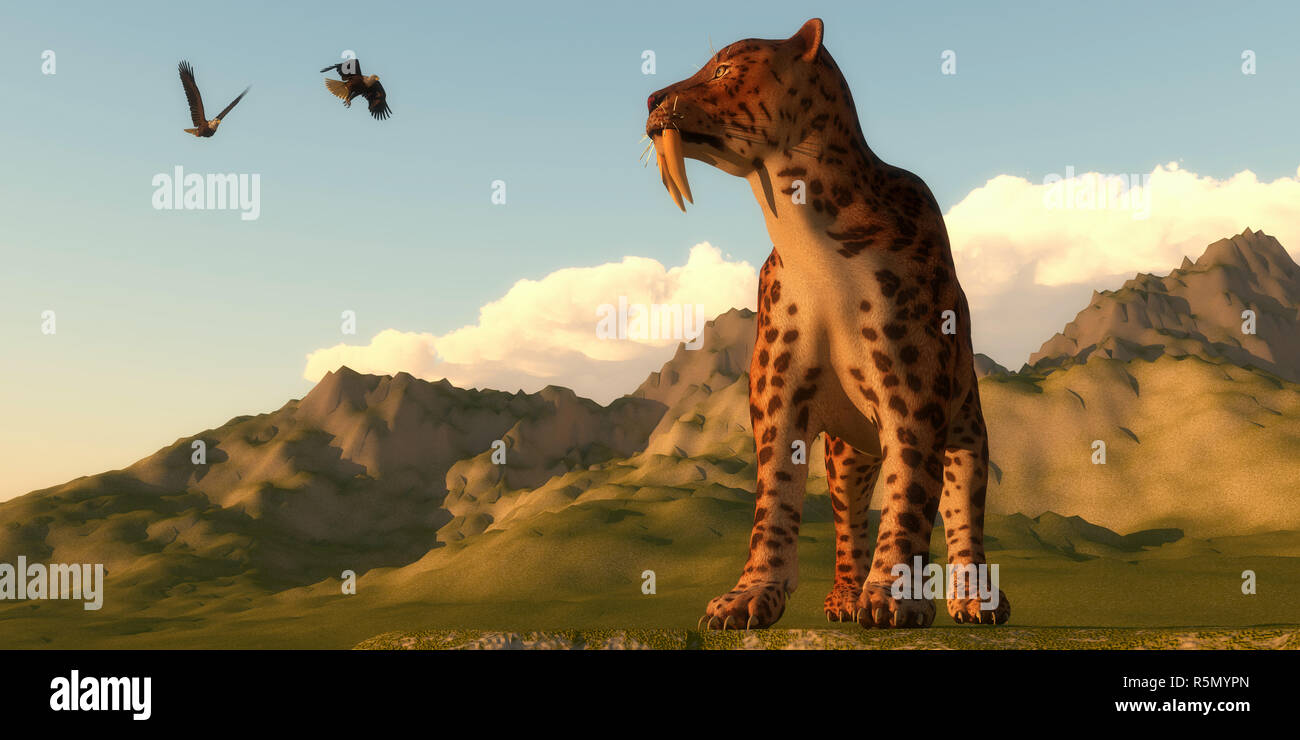 Saber tooth cat hi-res stock photography and images - Alamy