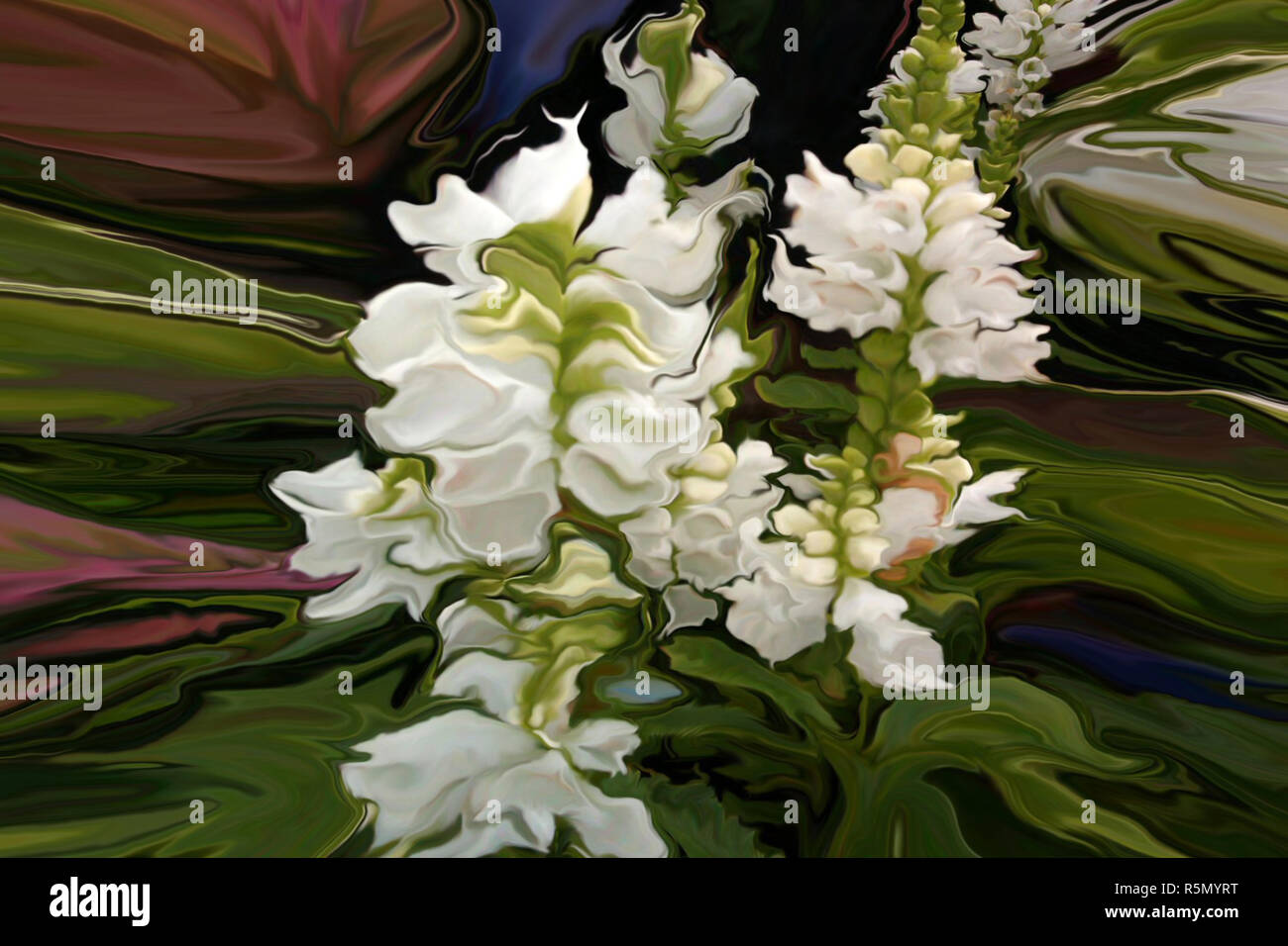 Snapdragons border hi-res stock photography and images - Alamy