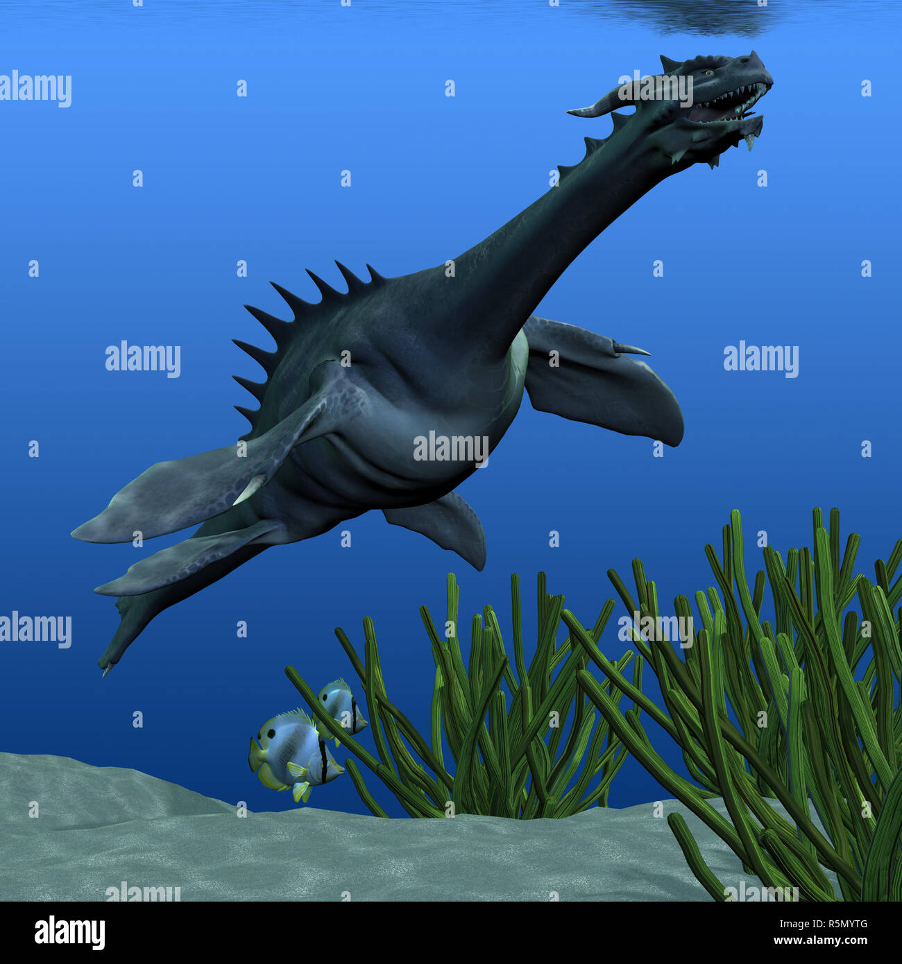 Sea Dragon on Reef Stock Photo - Alamy
