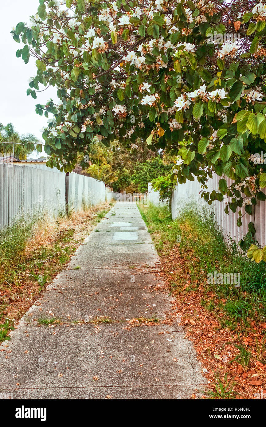 Pedestrian shortcut Nyunda Drive to Barra Place Stock Photo - Alamy