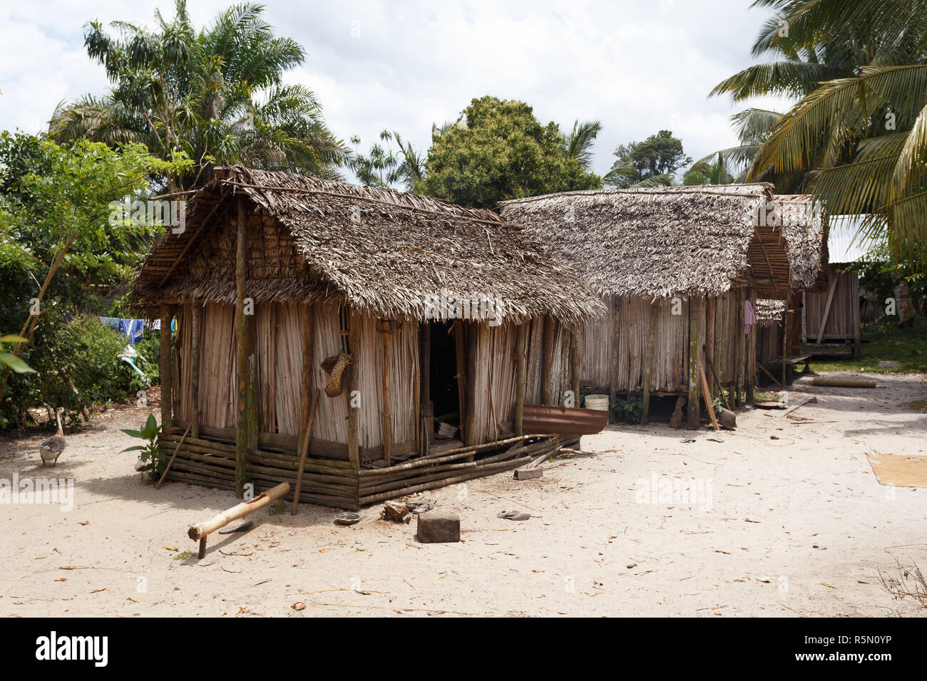 Africa malagasy huts in Maroantsetra region, Madagascar Stock Photo - Alamy