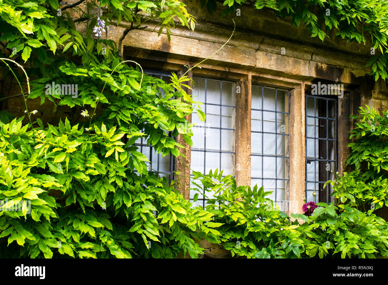 Medieval Mullioned Window High Resolution Stock Photography and Images ...