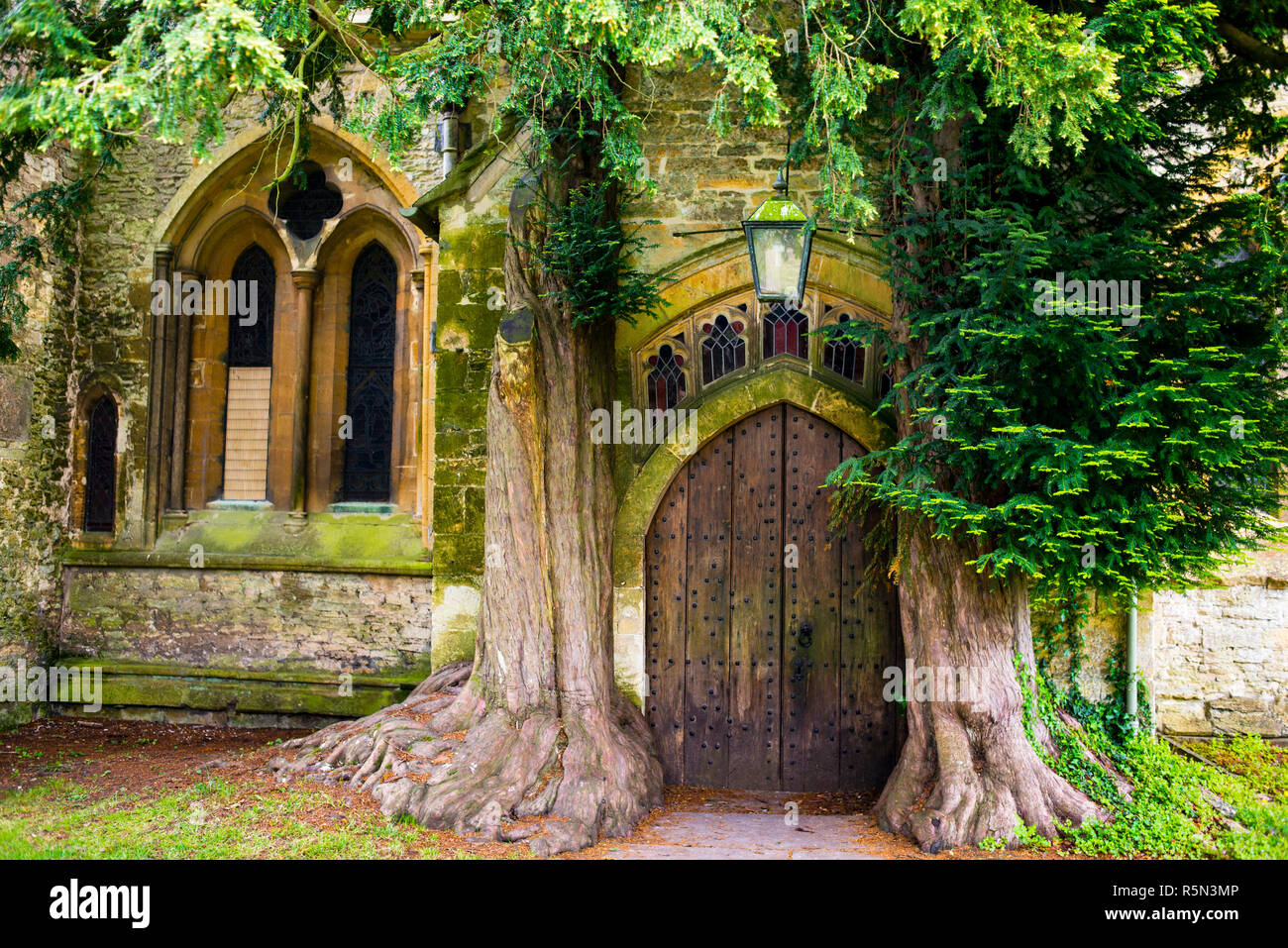 Medieval door at Saint Edwards Church between two giant yew trees in ...