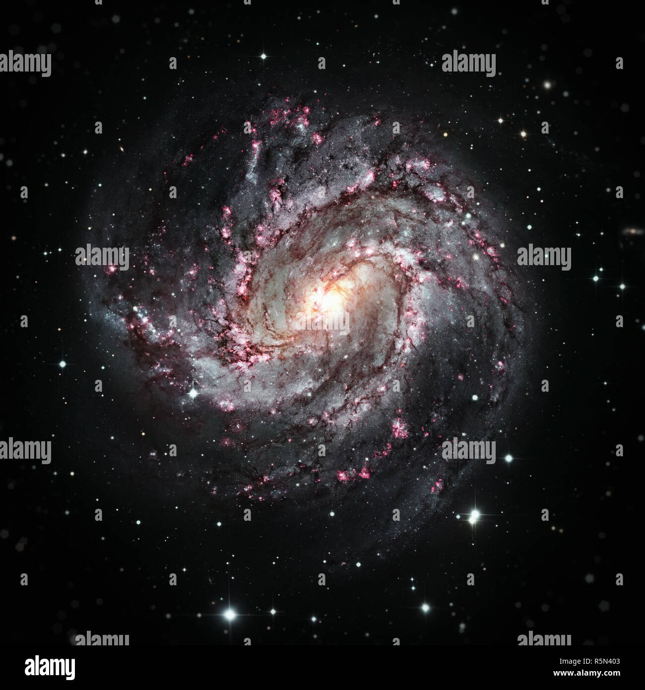 Hydra constellation hi-res stock photography and images - Alamy