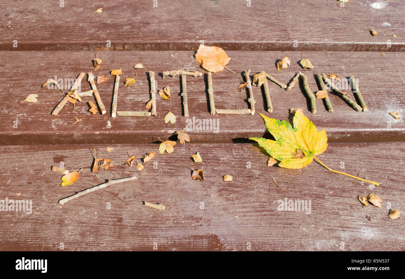 Autumn made of ree branches and fallen leaves Stock Photo - Alamy