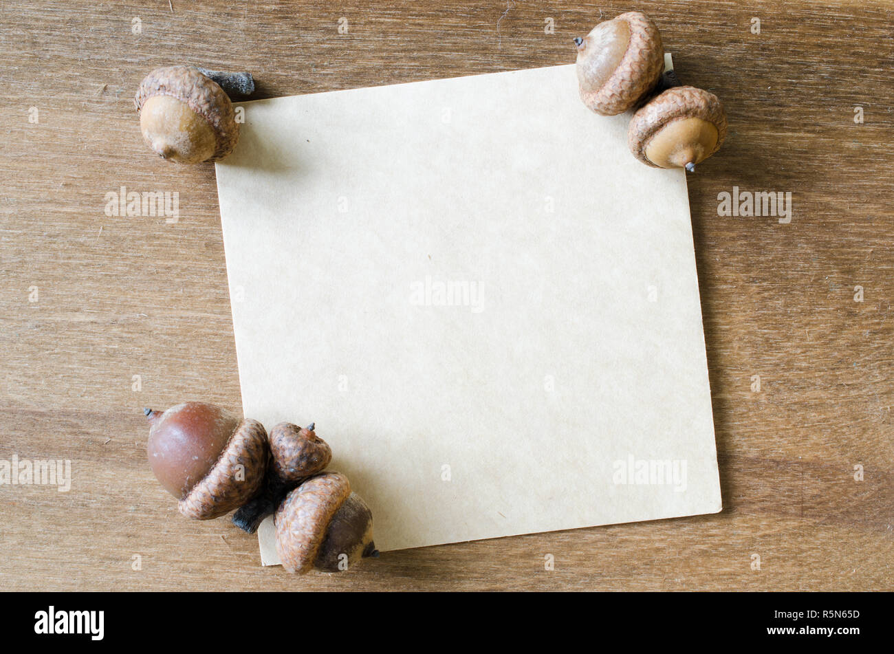 Empty Paper Sheet With Acorns and Cones Stock Photo - Alamy