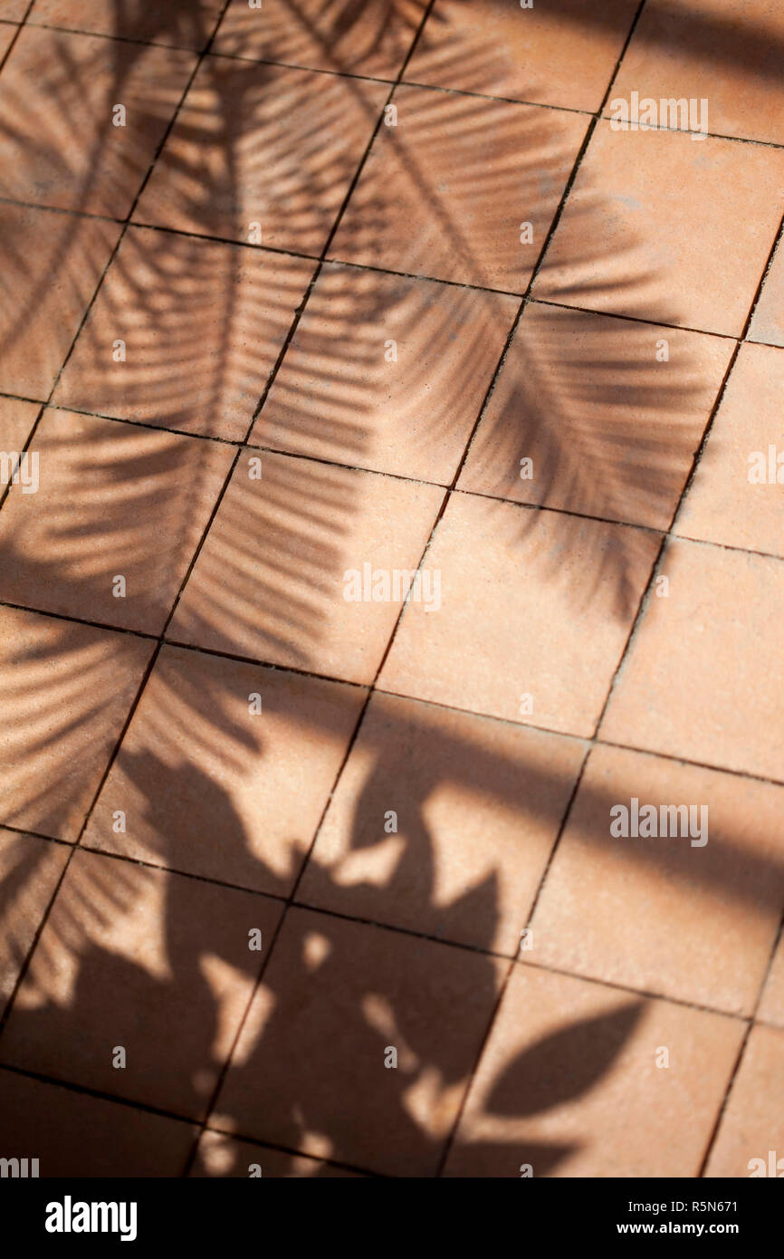 Shadows on tiles Stock Photo - Alamy