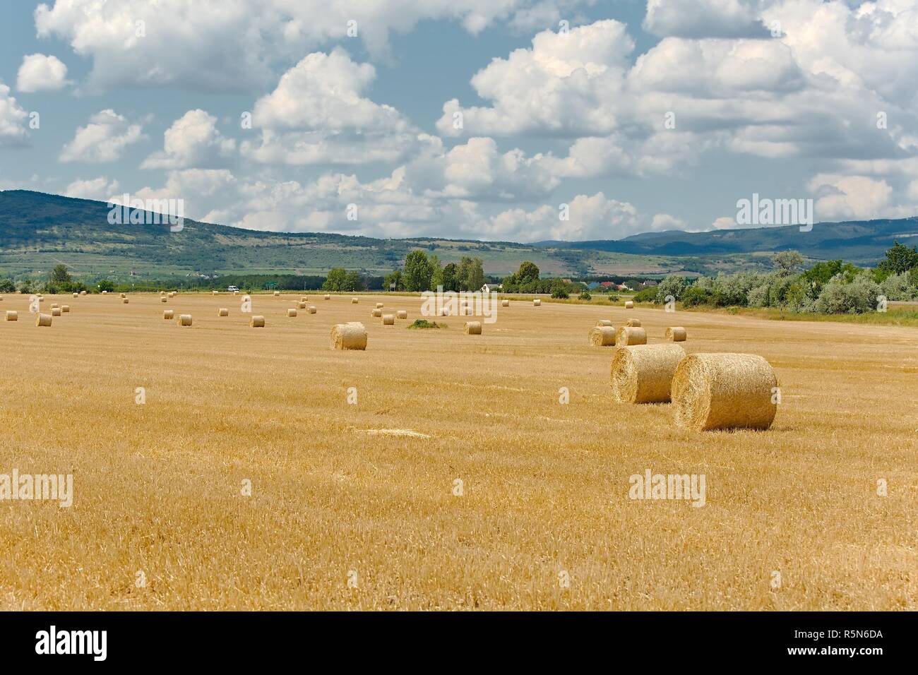 Agricultural field with bales Stock Photo - Alamy