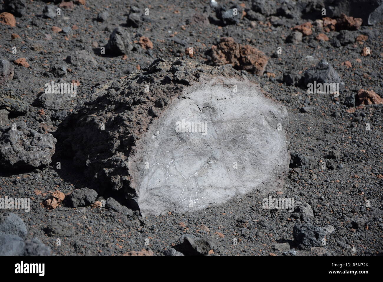 volcanic bomb on etna Stock Photo - Alamy