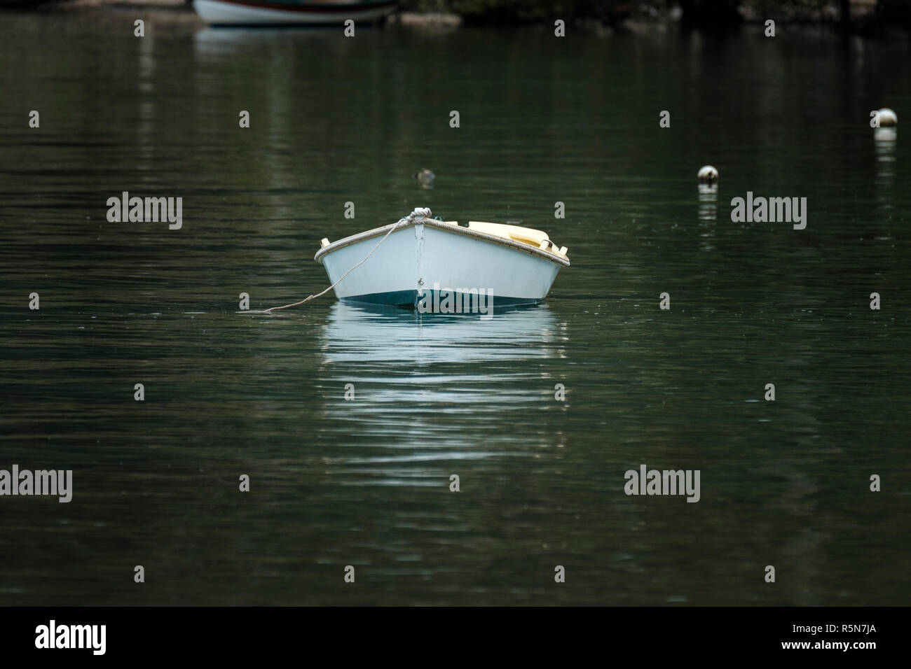 Macleay island hi-res stock photography and images - Alamy