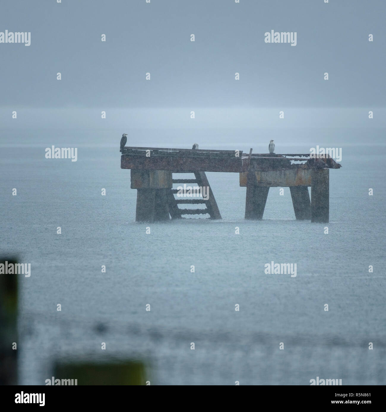 Macleay island hi-res stock photography and images - Alamy