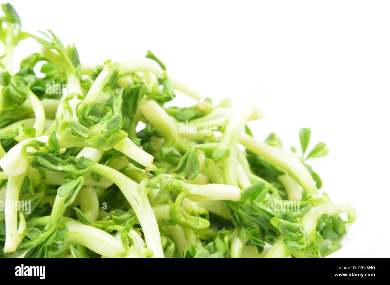 Peanut Sprouts isolated Stock Photo - Alamy