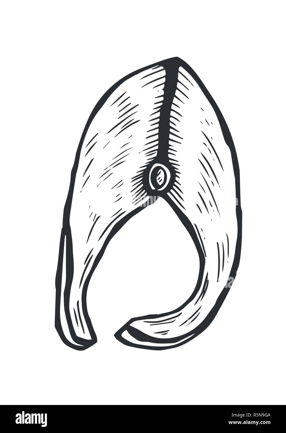 Hand Drawn Doodle Sketch Line Art Vector Illustration of Slice of Fish ...