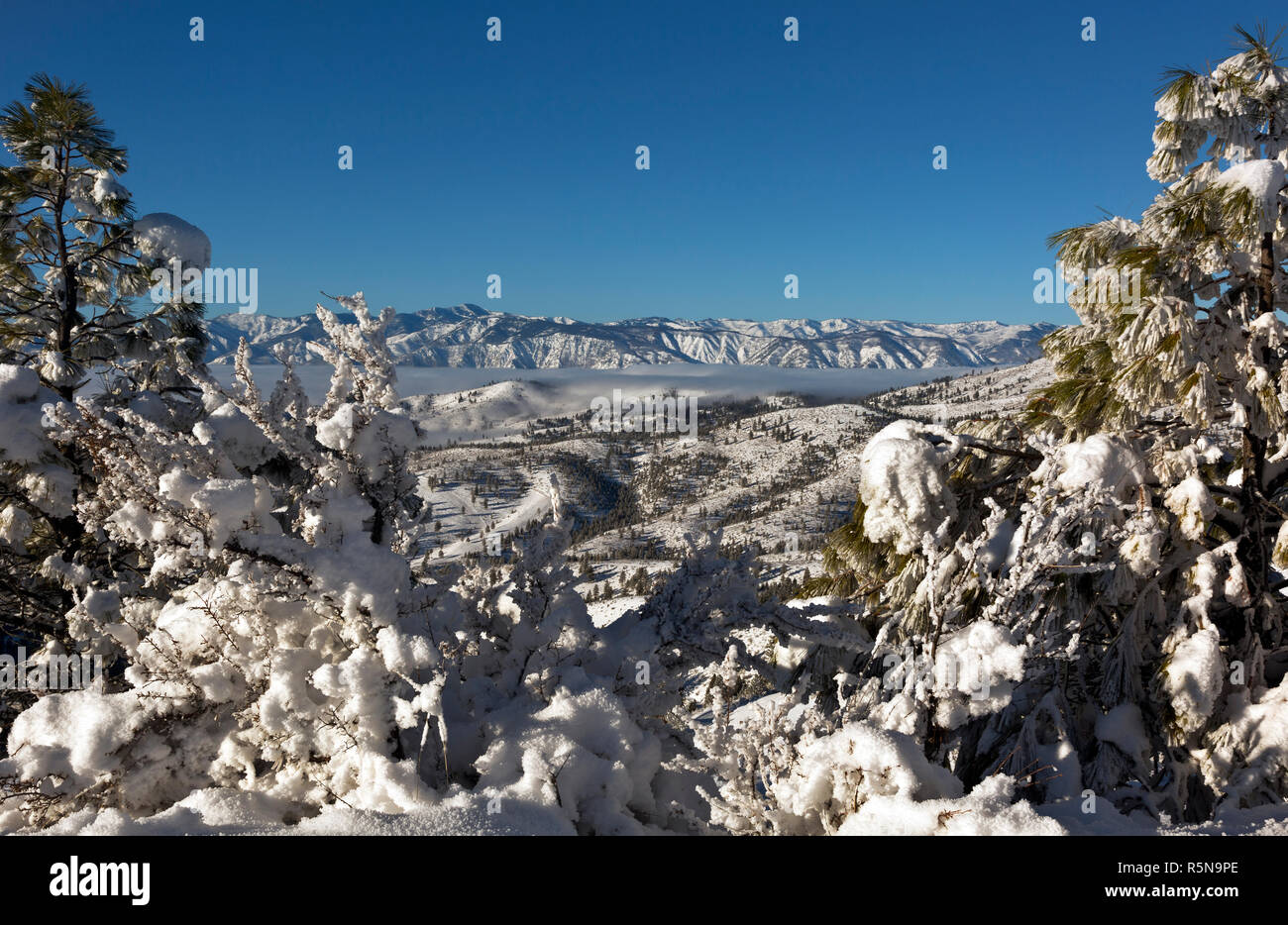 Rising above the brush hi-res stock photography and images - Alamy