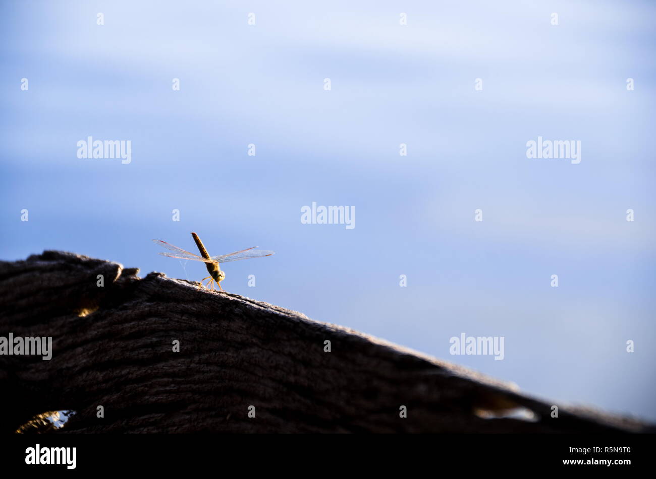 Magic sunray hi-res stock photography and images - Alamy