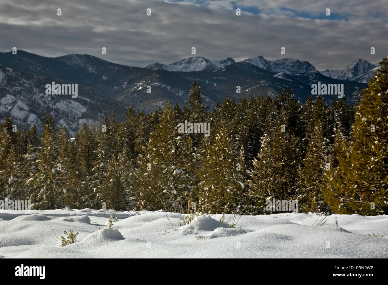 WA15384-00...WASHINGTON - Storm clouds over the North Cascades from the ...