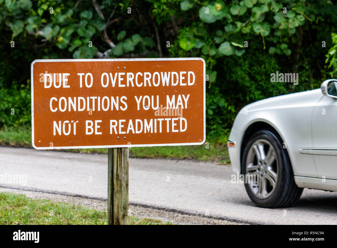 Florida Key Largo Florida Keys,John Pennekamp Coral Reef State Park ...