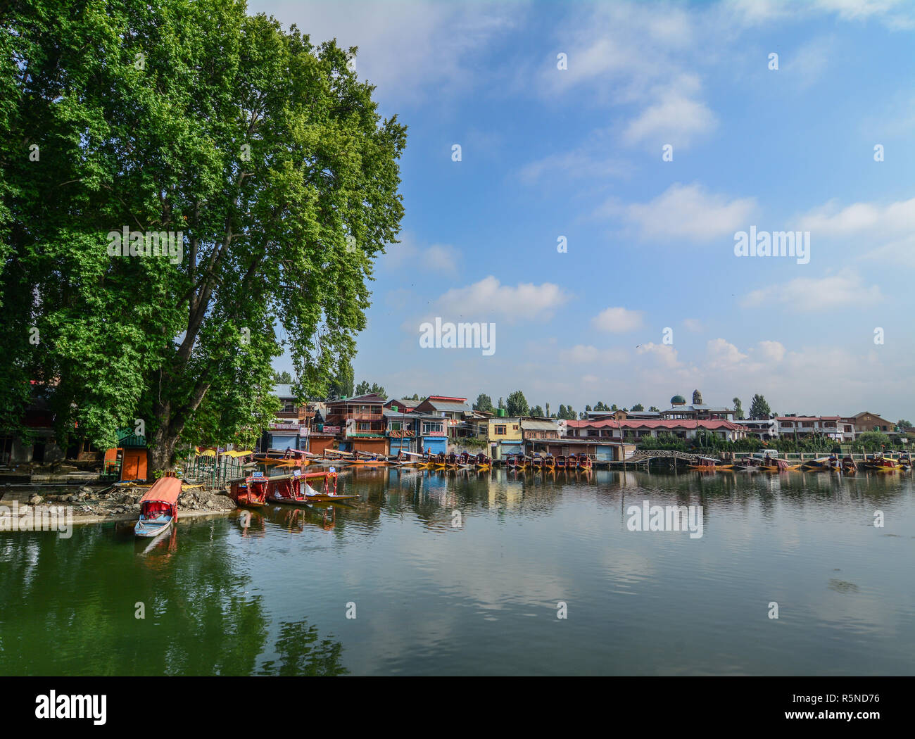 Srinagar, India - Jul 2, 2015. Landscape of Dal Lake in Srinagar, India ...