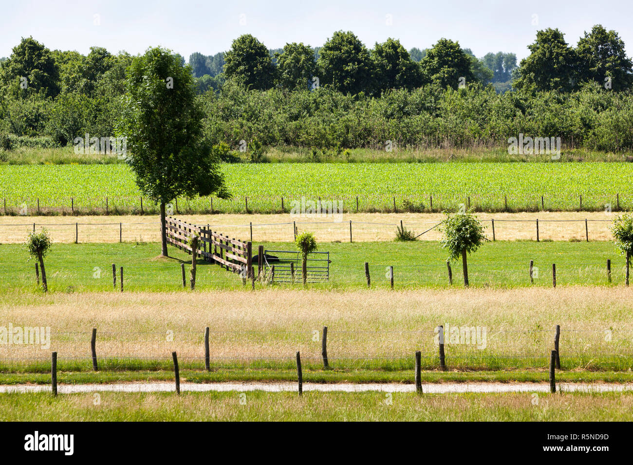 Farmland divided in small parts Stock Photo - Alamy