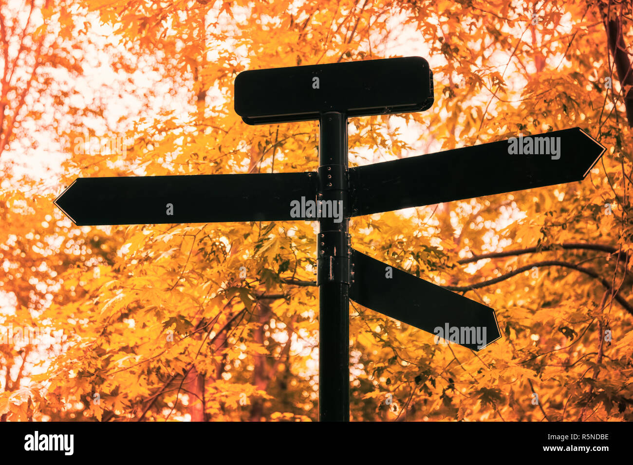 Multi directional sign hi-res stock photography and images - Alamy