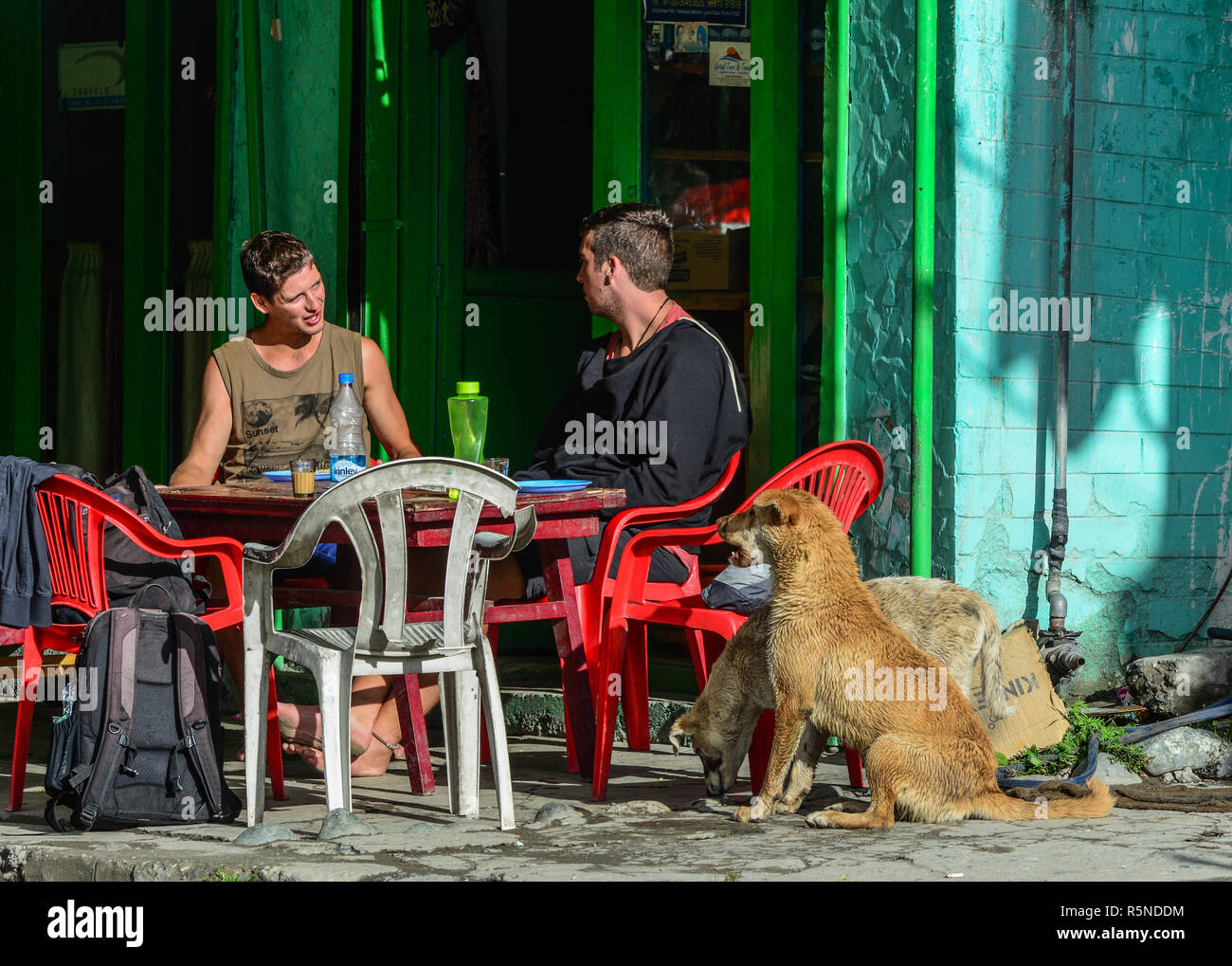 Indian man drinking chai tea hi-res stock photography and images - Alamy