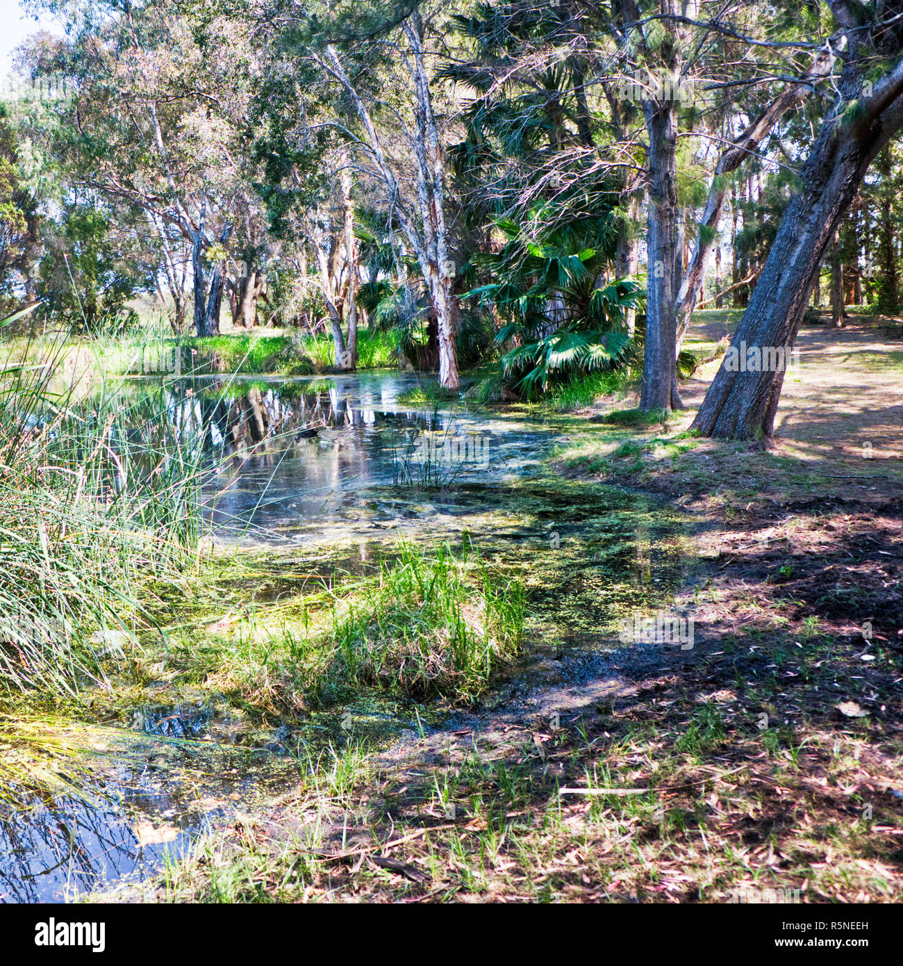 studmaster park narrow strip between two lakes Stock Photo - Alamy