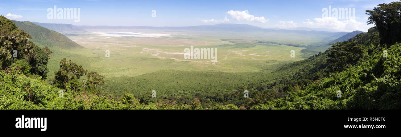 Panoramiv view of volcanic crater of Ngorongoro, Tanzania, Africa Stock ...