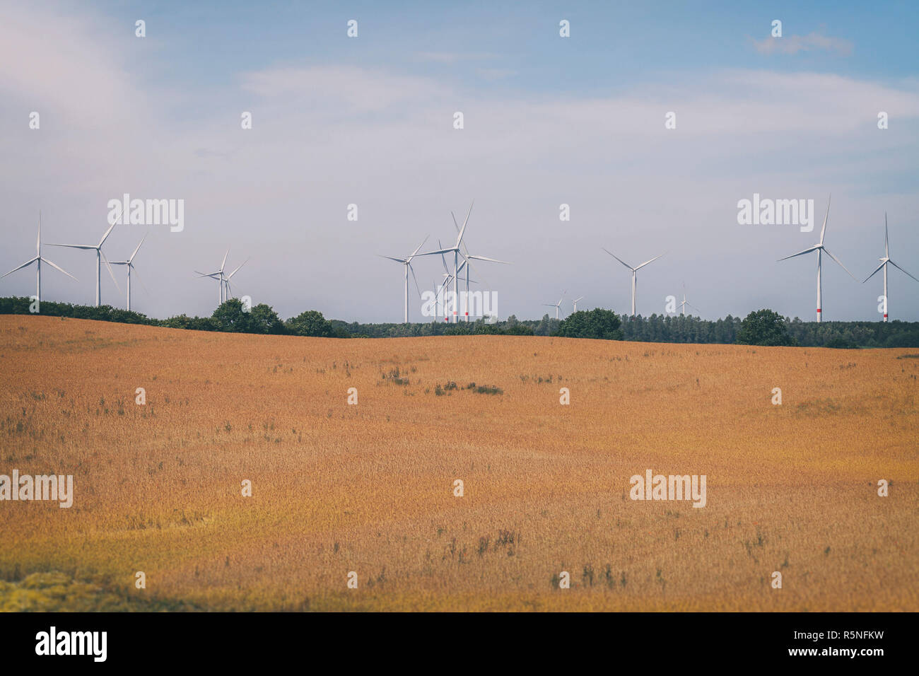 Cereal plant and wind turbines hi-res stock photography and images - Alamy