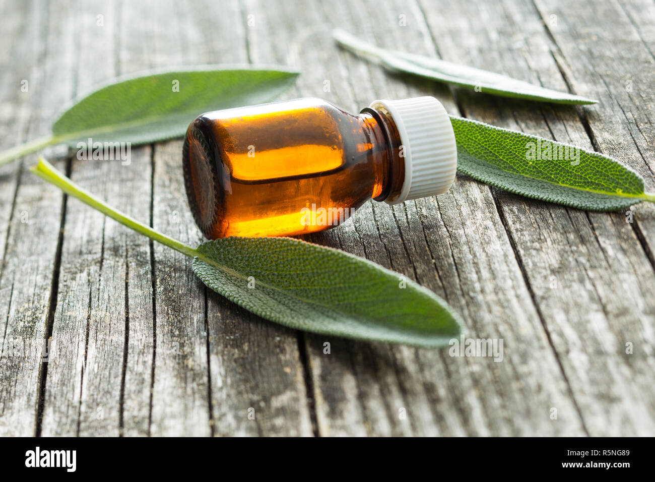 Bottle of essential sage oil Stock Photo - Alamy
