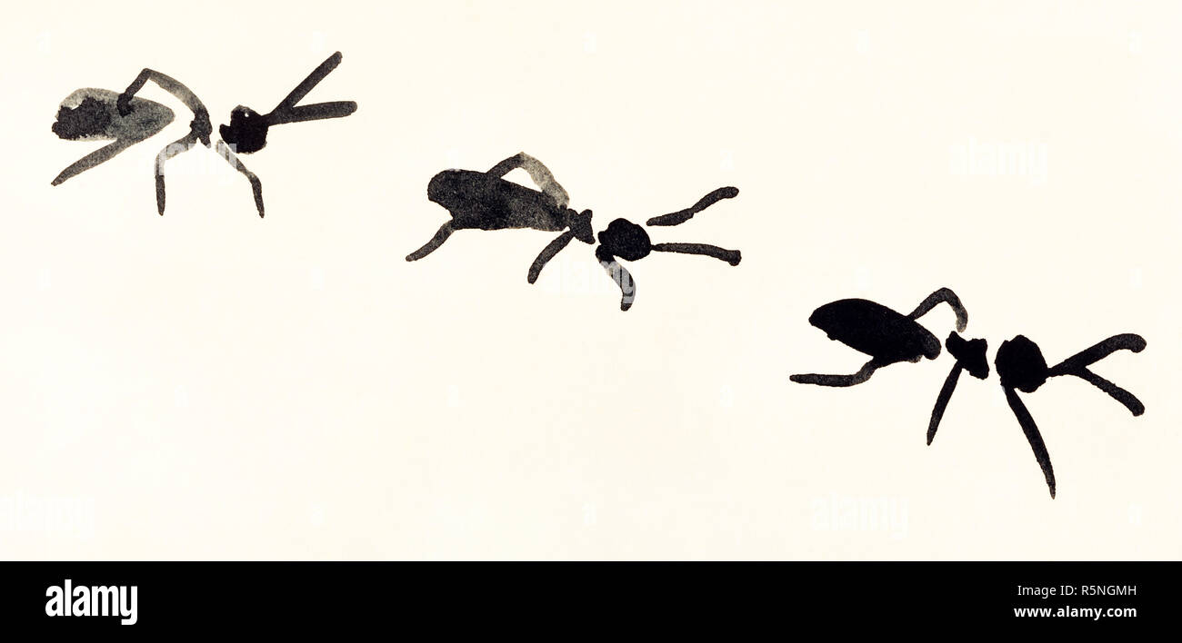 line of ants hand painted on cream colored paper Stock Photo - Alamy