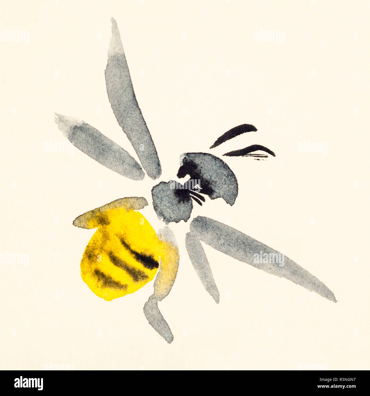 Honeybee drawing hi-res stock photography and images - Alamy