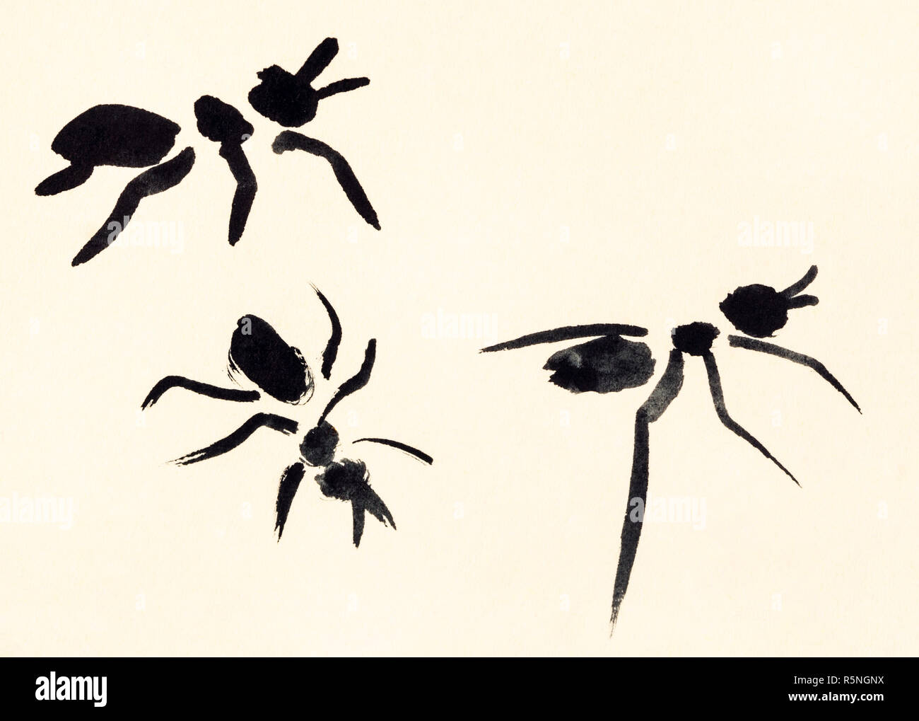 three ants hand painted on cream colored paper Stock Photo - Alamy