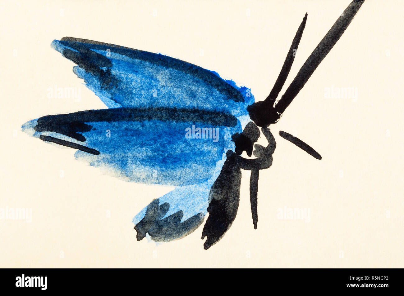 Cream colored moth hi-res stock photography and images - Alamy