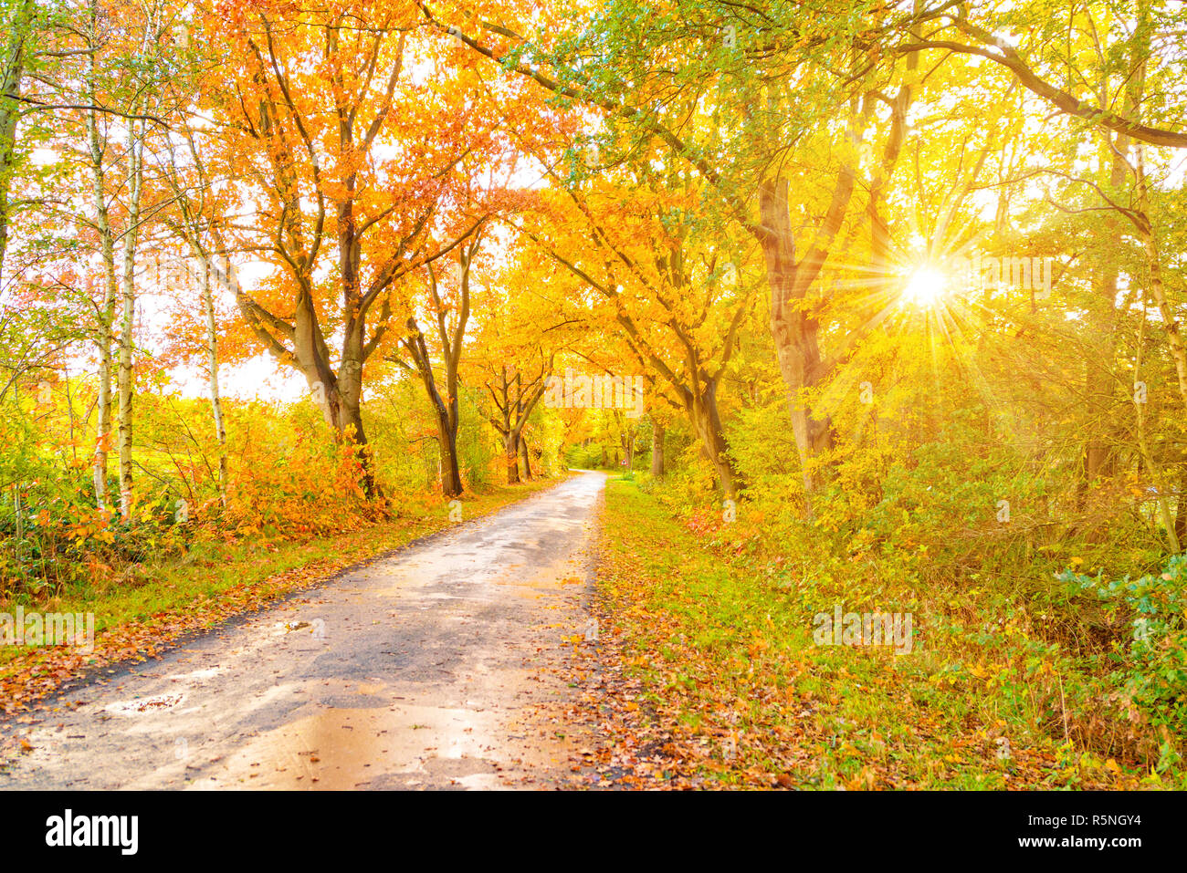 Hibernation period hi-res stock photography and images - Alamy