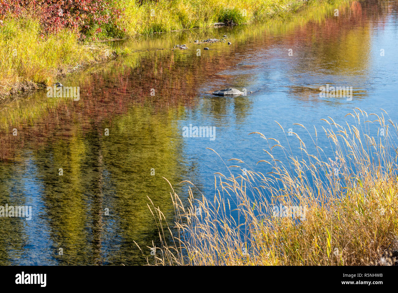 Sanpoil river hi-res stock photography and images - Alamy