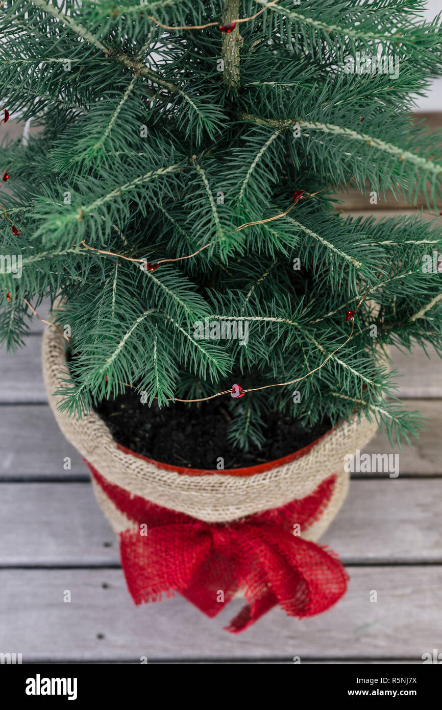 Christmas tree with red lights Stock Photo - Alamy