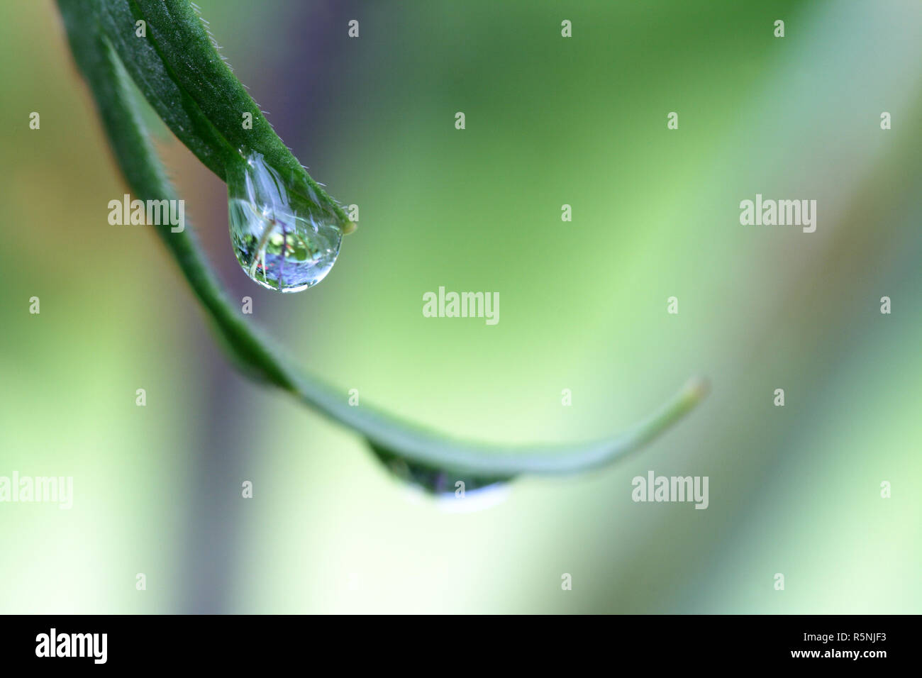 Long drop hanging hi-res stock photography and images - Alamy