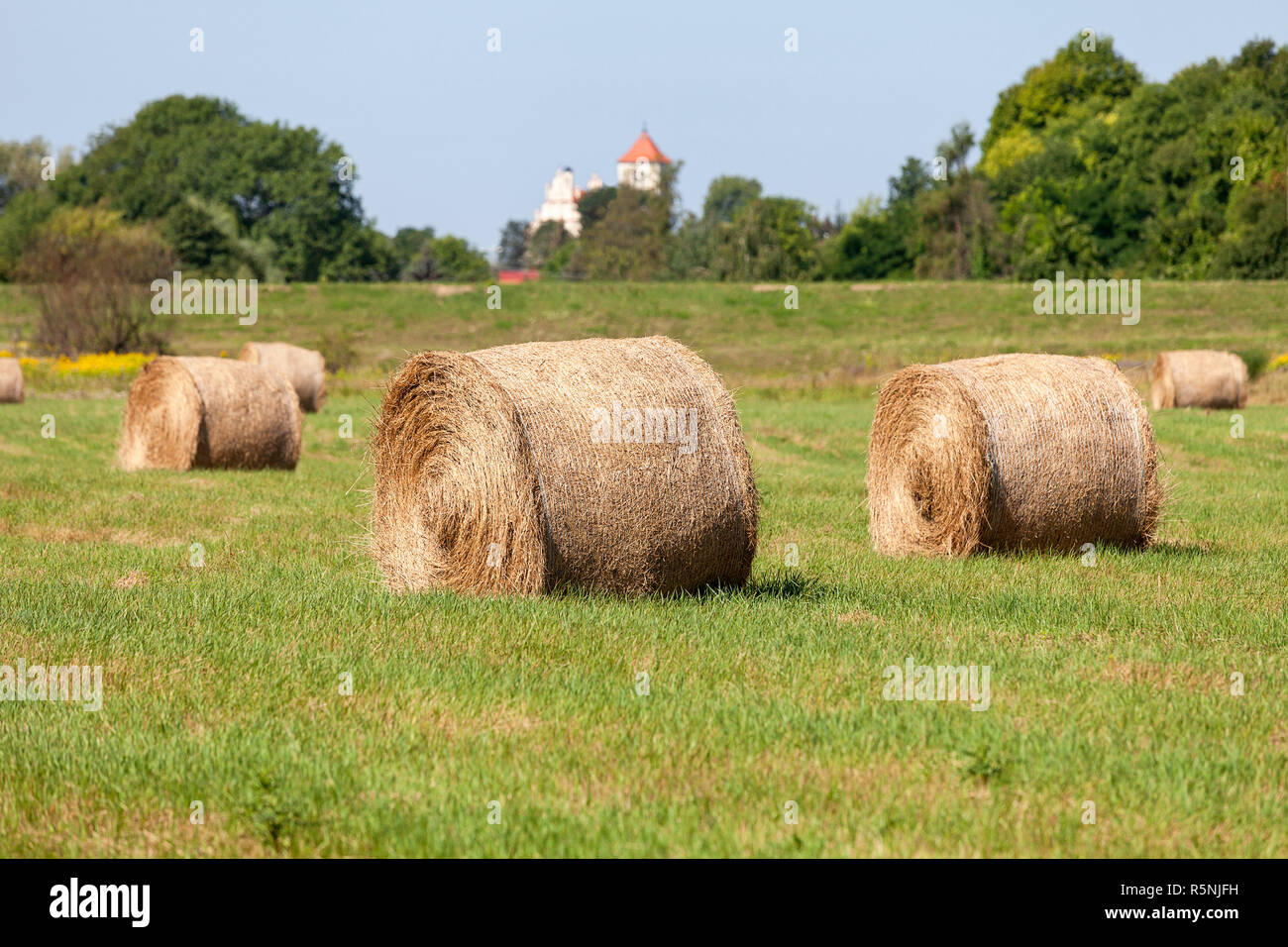 Field with some bundles of hay in the summer, harvest Stock Photo - Alamy