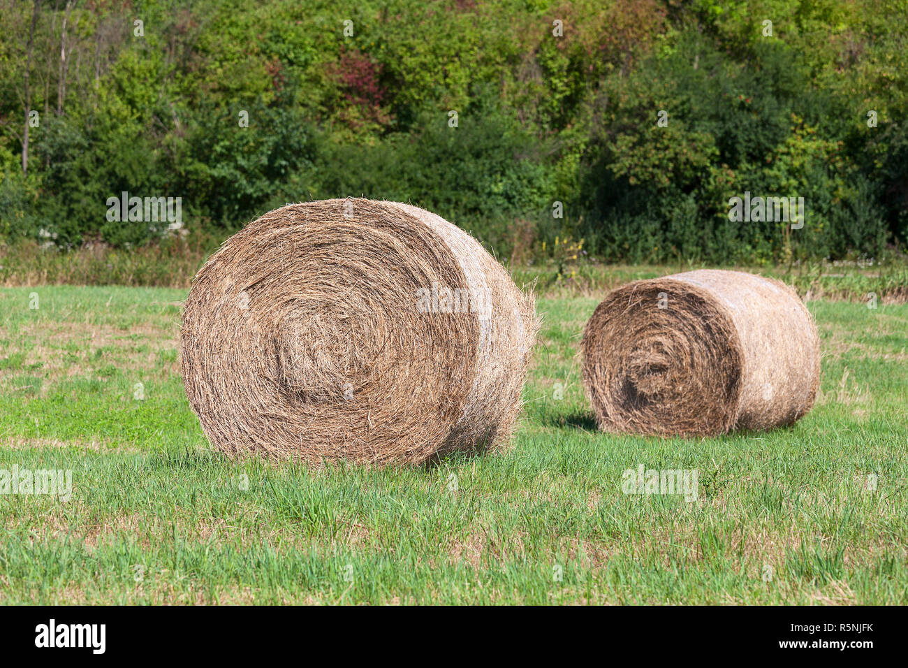 Bundles of hay hi-res stock photography and images - Alamy